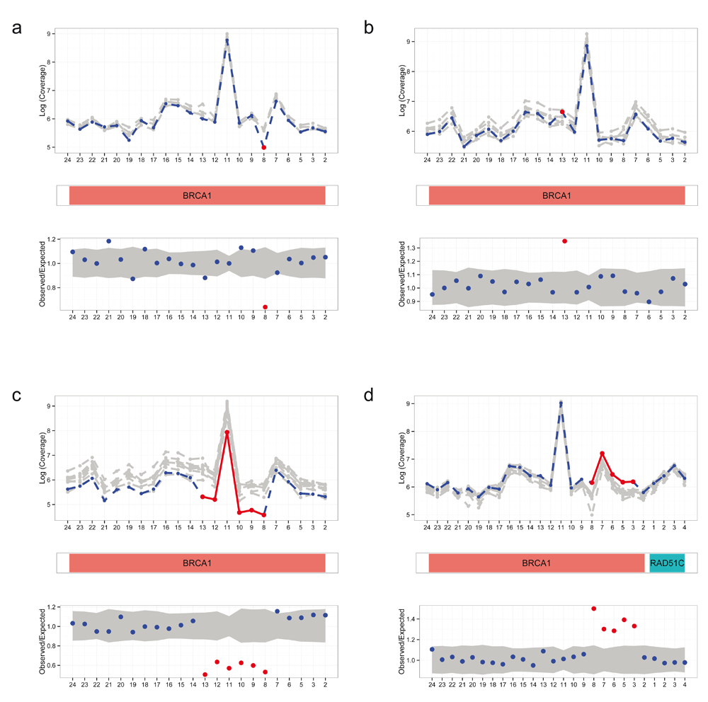 Accurate clinical detection of exon copy... | Wellcome Open Research