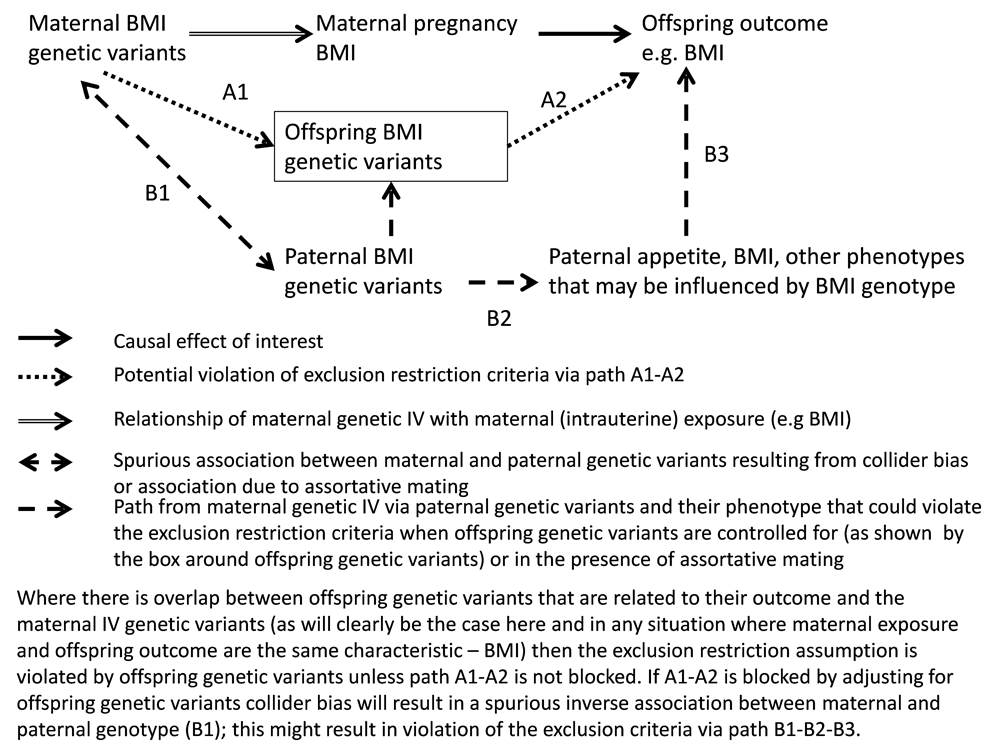 Using Mendelian randomization to determine... | Wellcome Open Research