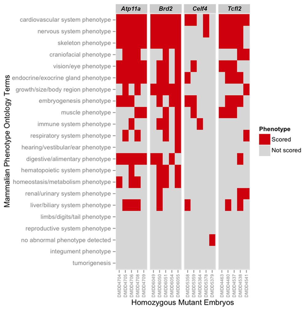 Highly variable penetrance of abnormal... | Wellcome Open Research