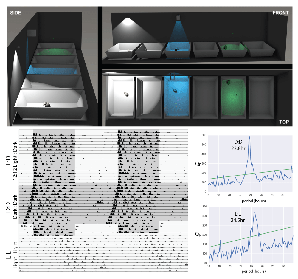 COMPASS: Continuous Open Mouse Phenotyping... | Wellcome Open Research