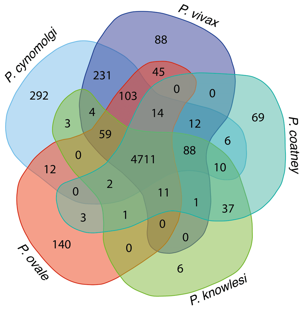 An improved Plasmodium cynomolgi genome... | Wellcome Open Research