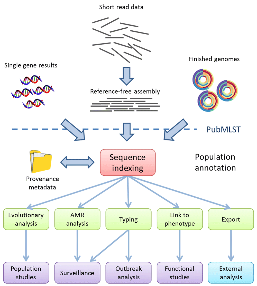 Open-access bacterial population genomics:... | Wellcome Open Research