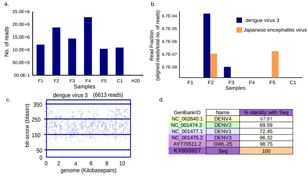 Complete assembly of a dengue virus type 3... | Wellcome Open Research