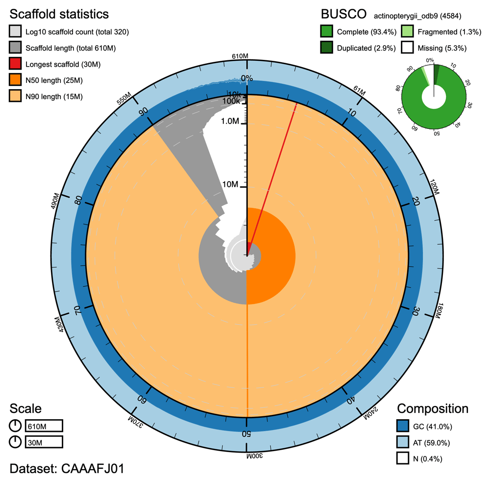 The genome sequence of the channel bull... | Wellcome Open Research