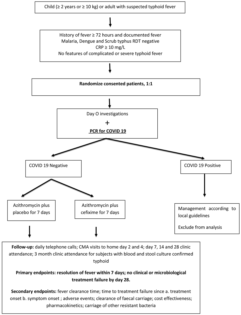 Typhoid Treatment Antibiotics Guidelines
