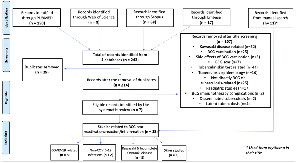 Inflammation in the scar caused by BCG... | Wellcome Open Research