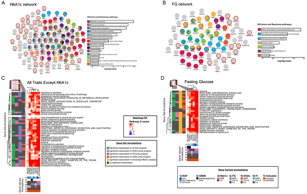 Large-scale exome array summary statistics... | Wellcome Open Research