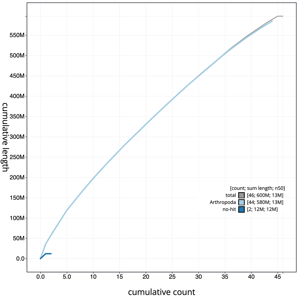 The genome sequence of the Fulvous Clothes... | Wellcome Open Research