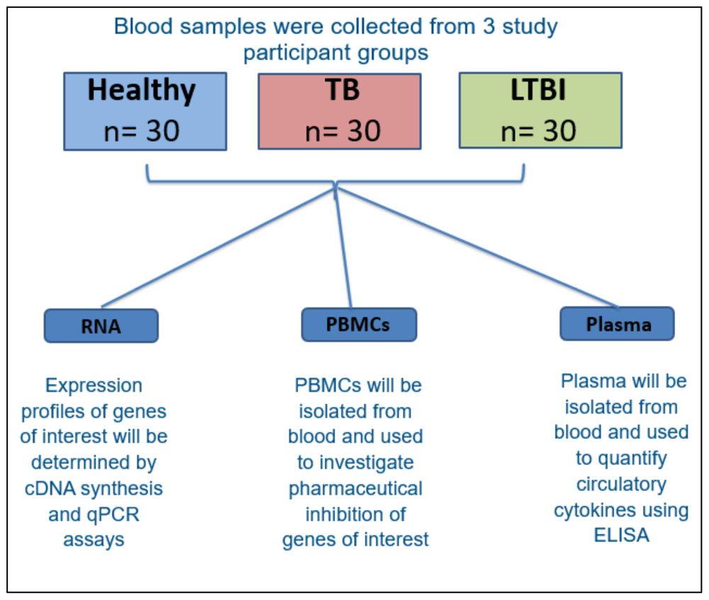 Host determinants of TB disease as targets... | Wellcome Open Research