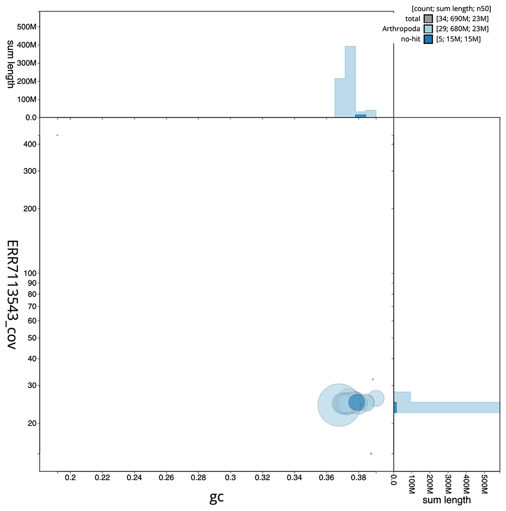 The genome sequence of the Notch-wing... | Wellcome Open Research