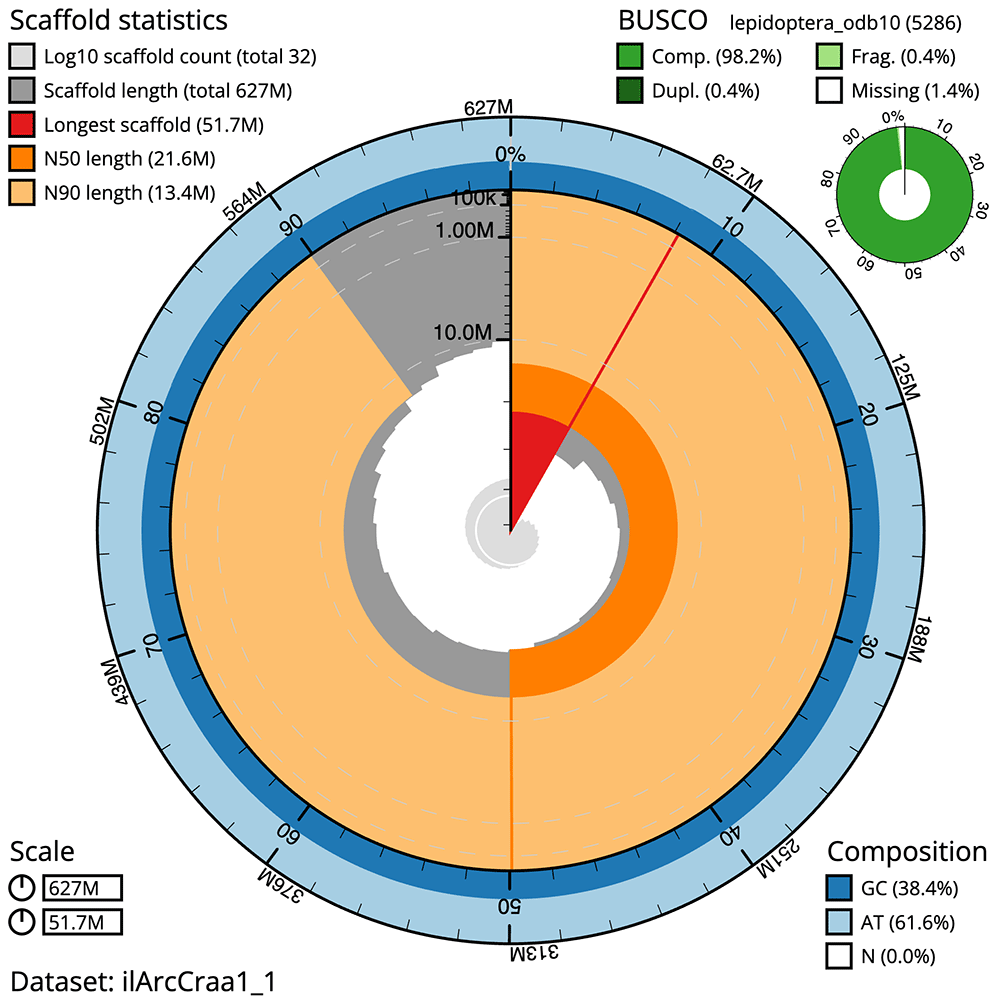 The genome sequence of the Brown Oak... | Wellcome Open Research