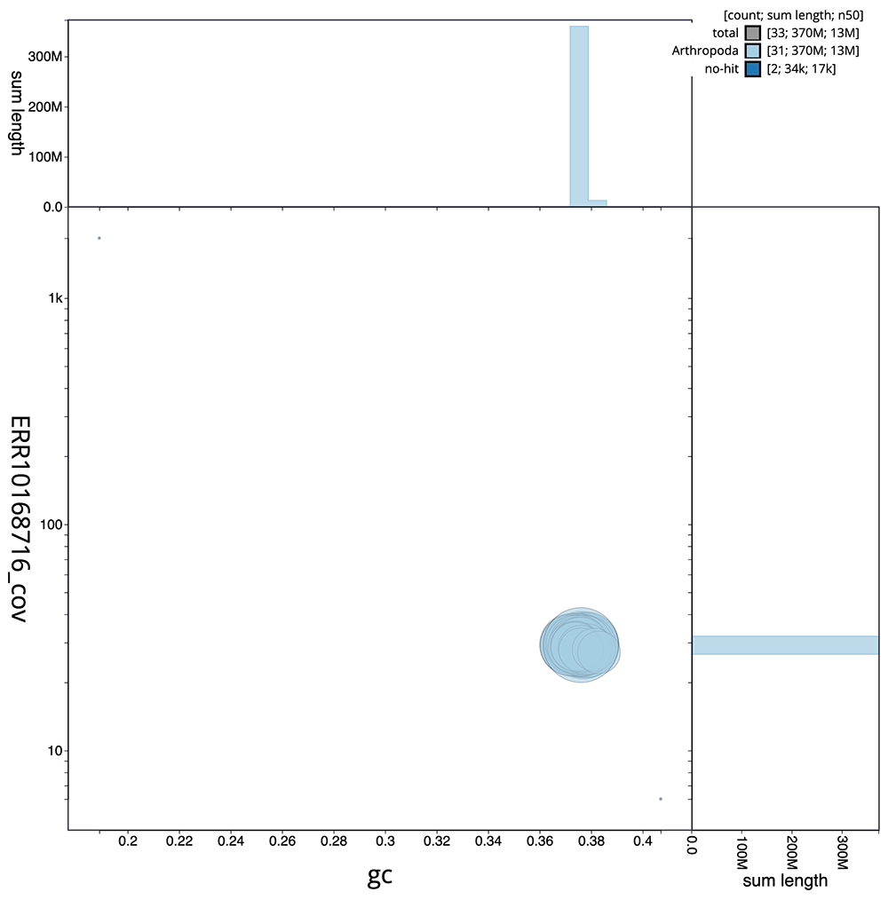 The genome sequence of the Mottled Pug,... | Wellcome Open Research