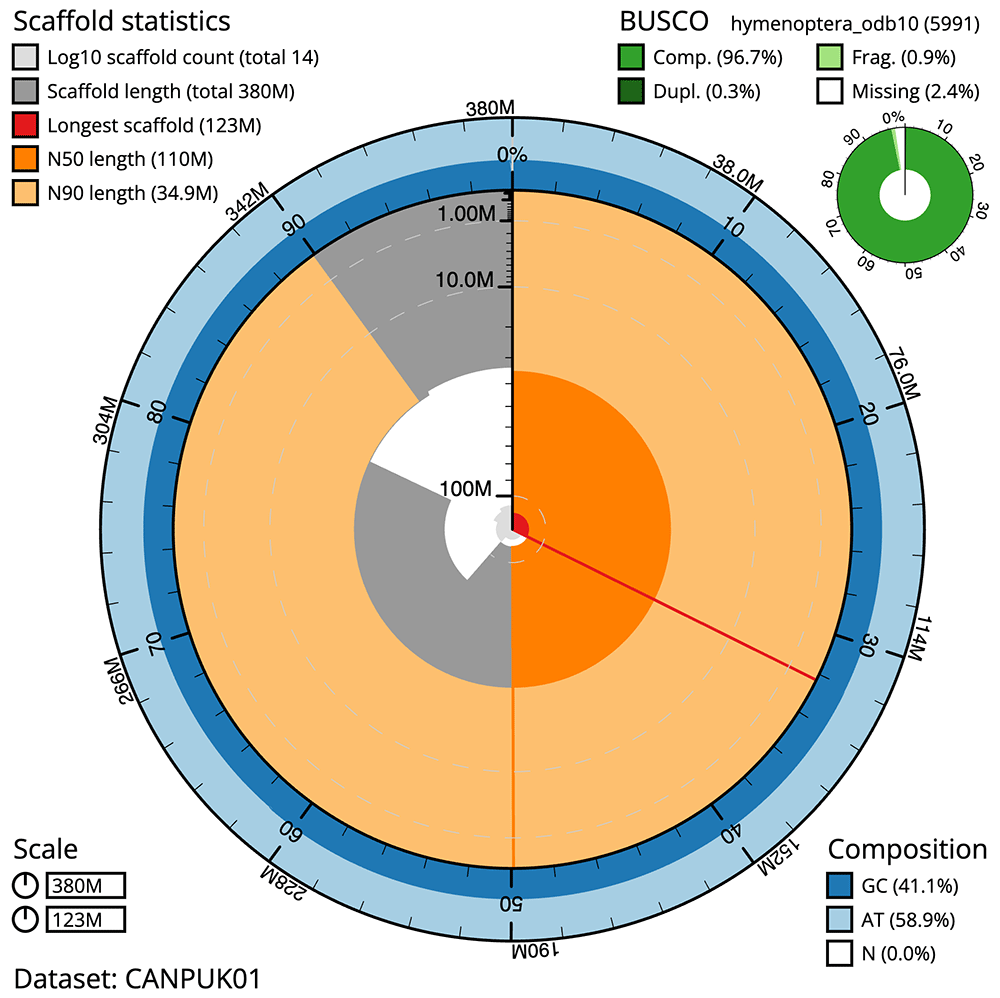 The genome sequence of the big-headed... | Wellcome Open Research