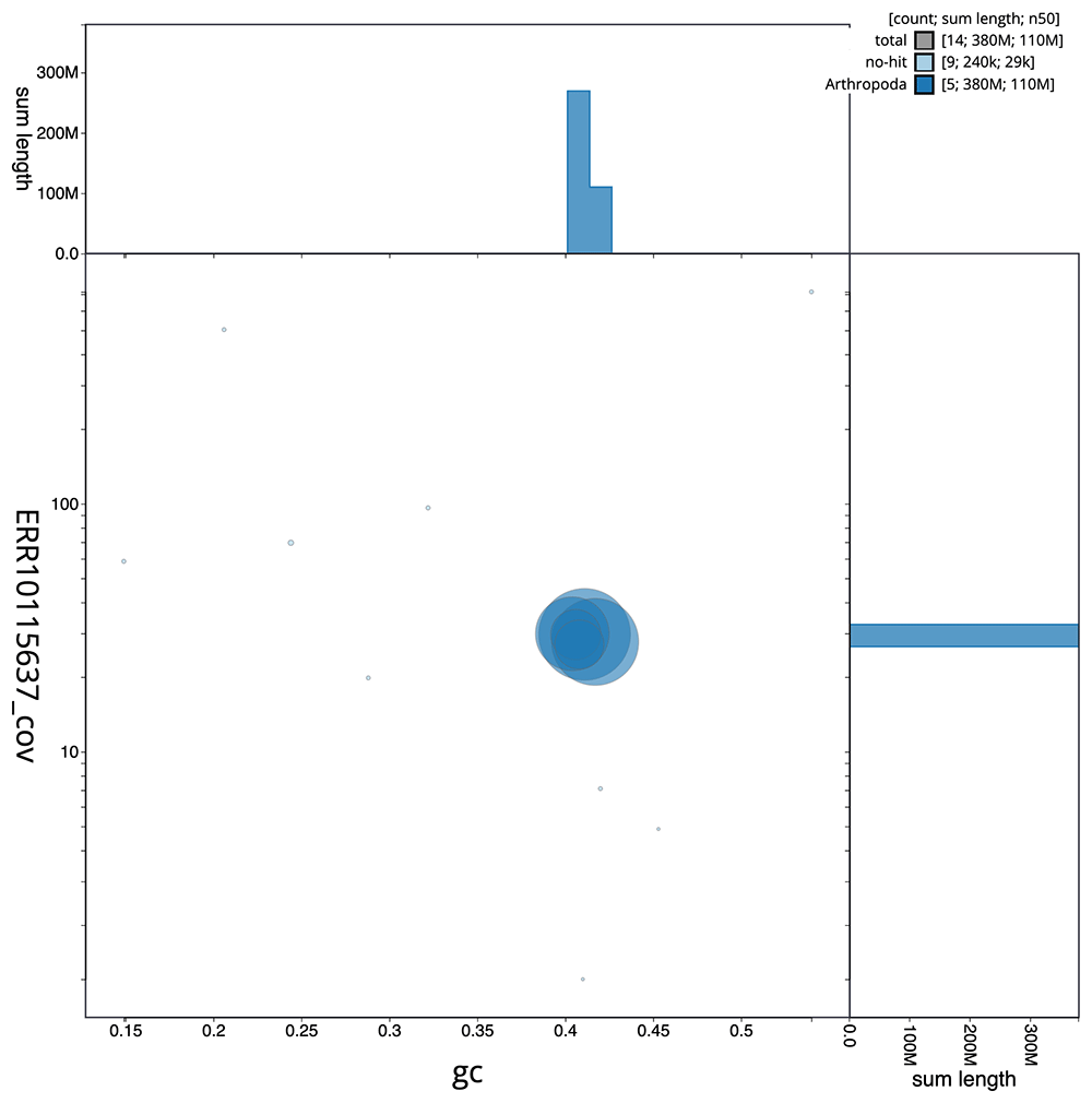 The genome sequence of the big-headed... | Wellcome Open Research