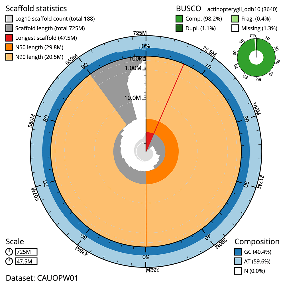 The genome sequence of the thickback sole,... | Wellcome Open Research