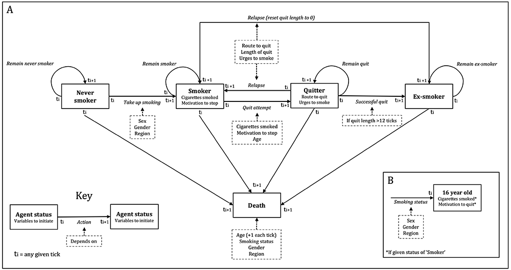 A microsimulation model of smoking... | Wellcome Open Research