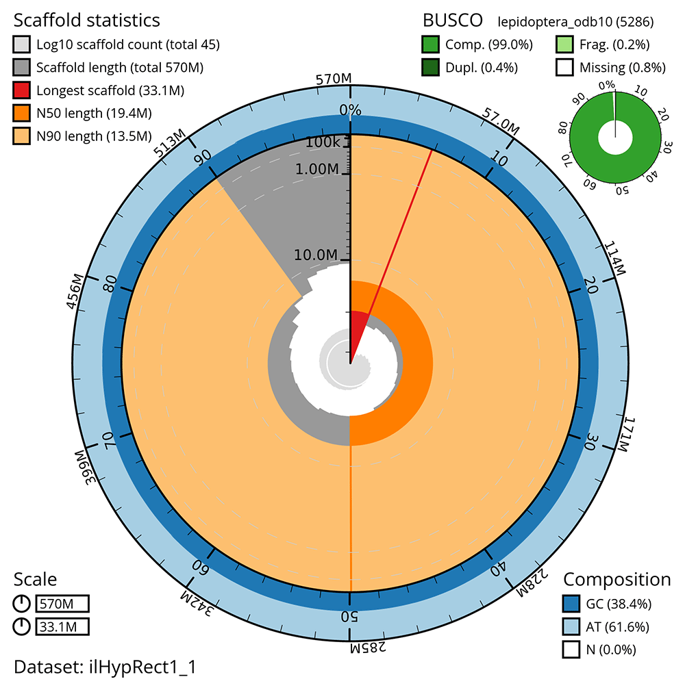 The genome sequence of the Saxon moth,... | Wellcome Open Research