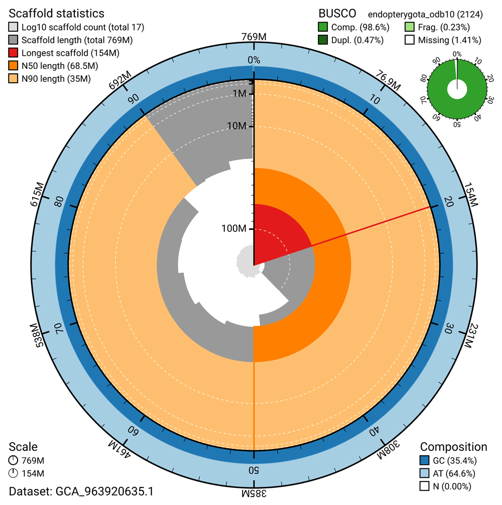 The genome sequence of a fungus weevil,... | Wellcome Open Research