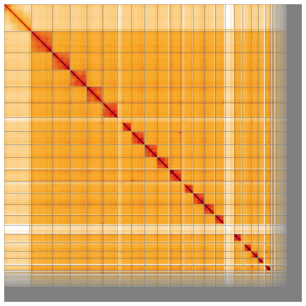 The genome sequence of the Rock-rose Pot... | Wellcome Open Research