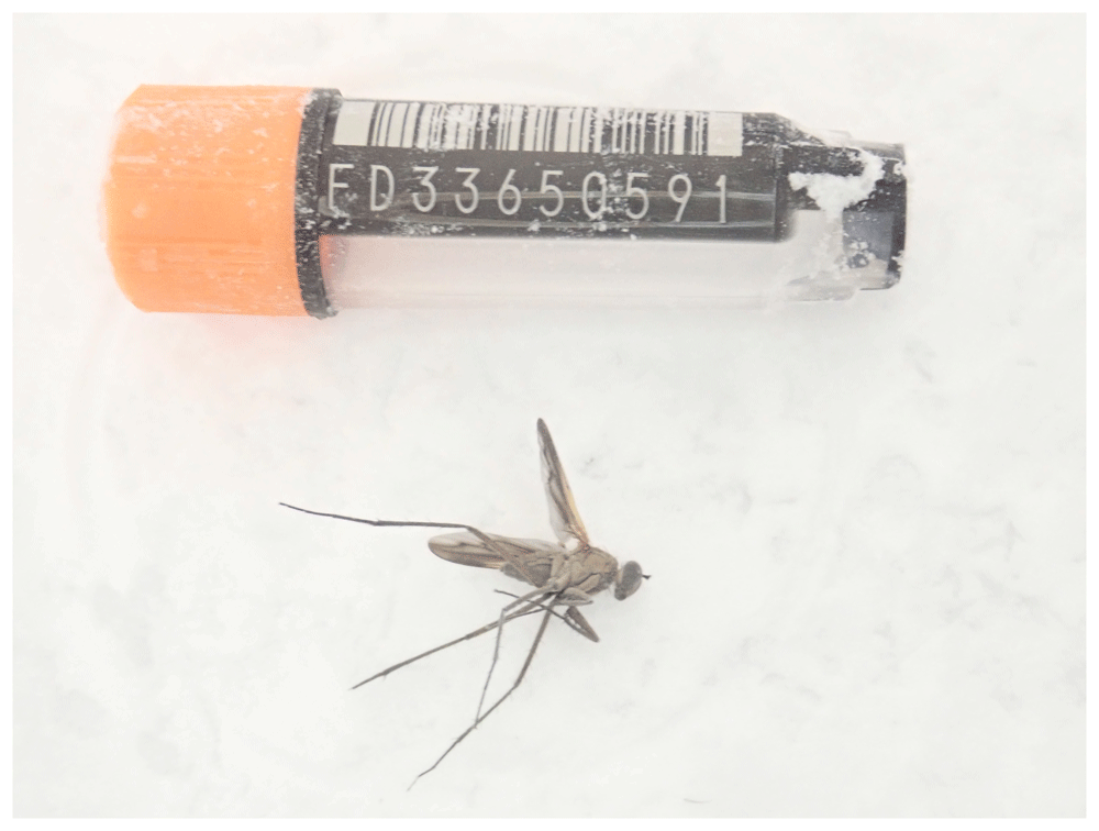 The genome sequence of a long-legged... | Wellcome Open Research