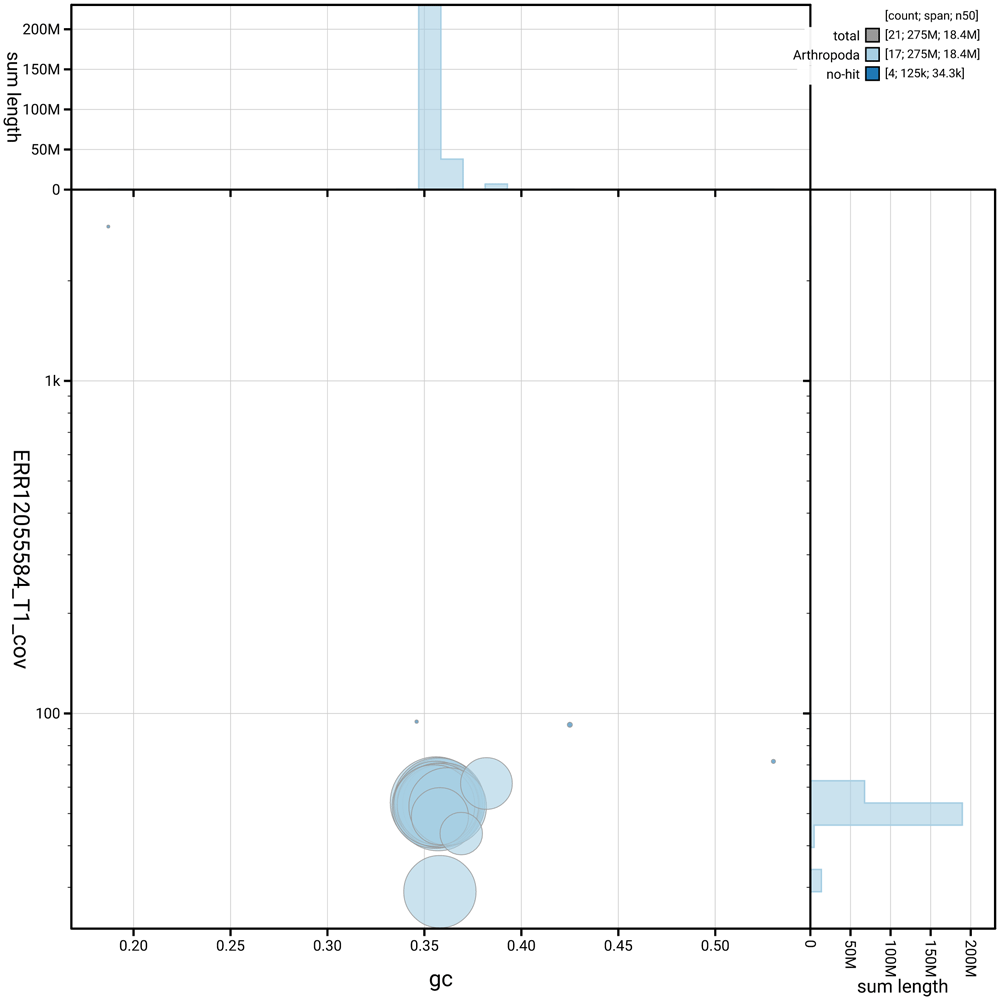 The genome sequence of the V-Pug moth,... | Wellcome Open Research