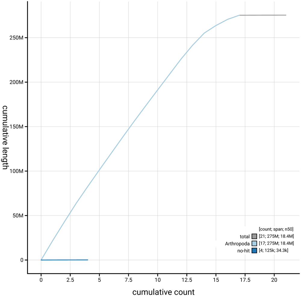 The genome sequence of the V-Pug moth,... | Wellcome Open Research