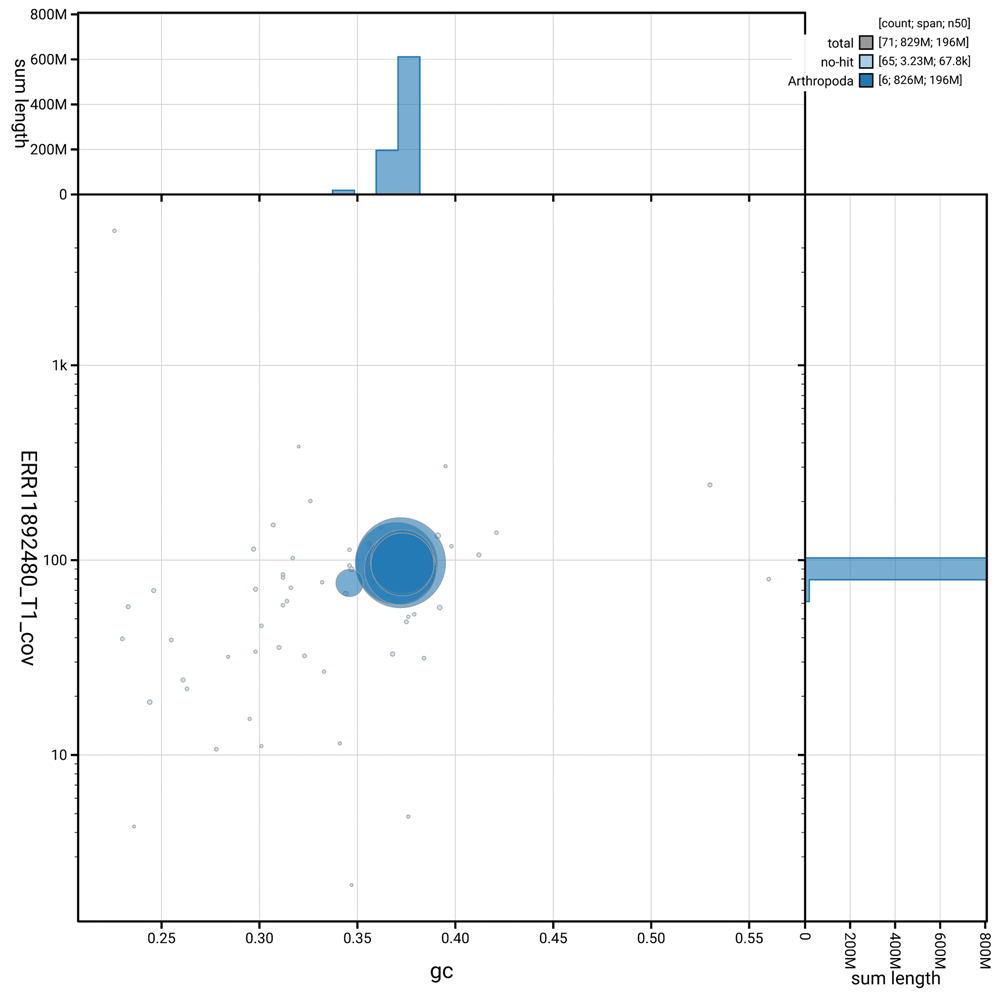 The genome sequence of the common stiletto... | Wellcome Open Research