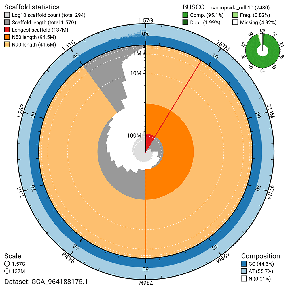 The genome sequence of the Italian wall... | Wellcome Open Research