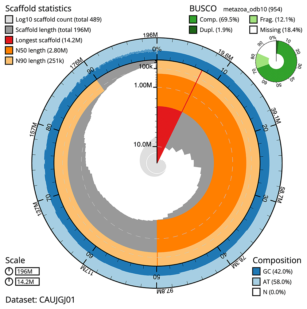 The scaffold-level genome sequence of an... | Wellcome Open Research