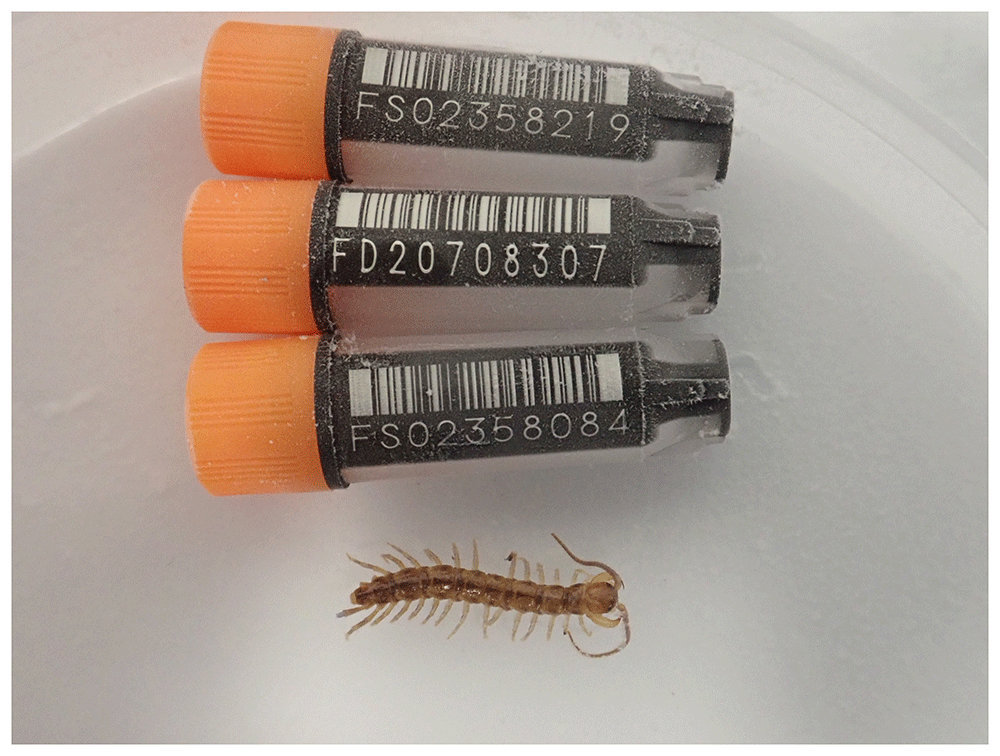 The genome sequence of the banded... | Wellcome Open Research