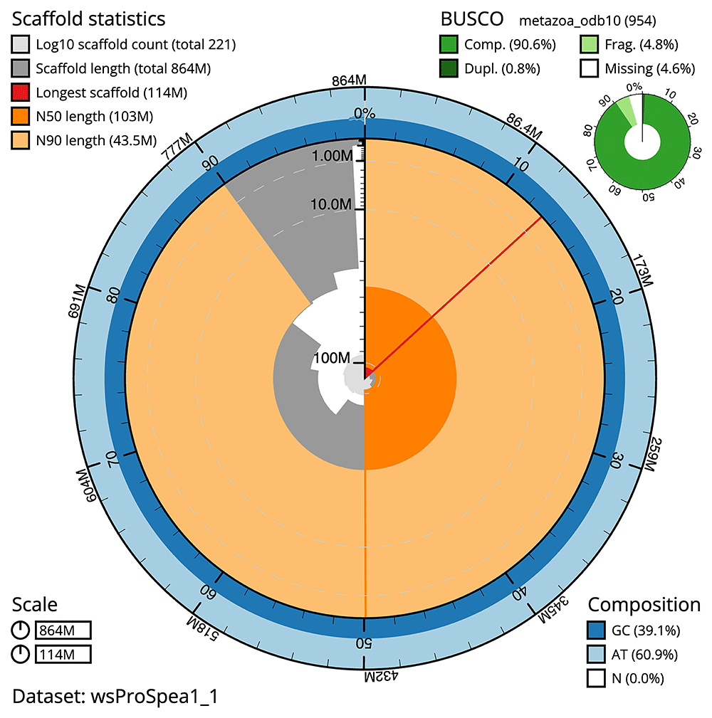 The chromosomal genome sequence of the fan... | Wellcome Open Research
