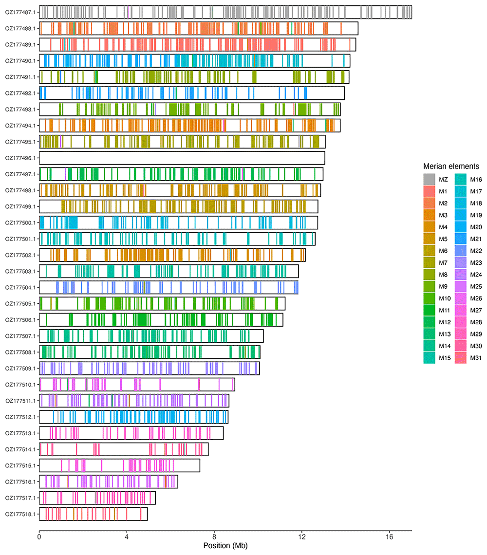 The genome sequence of the Map,... | Wellcome Open Research