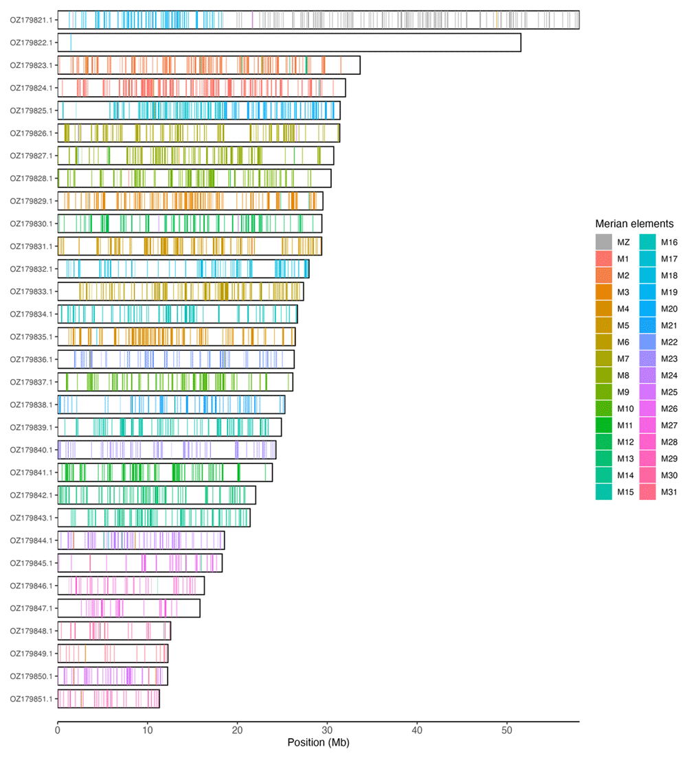 The genome sequence of the Dusky... | Wellcome Open Research