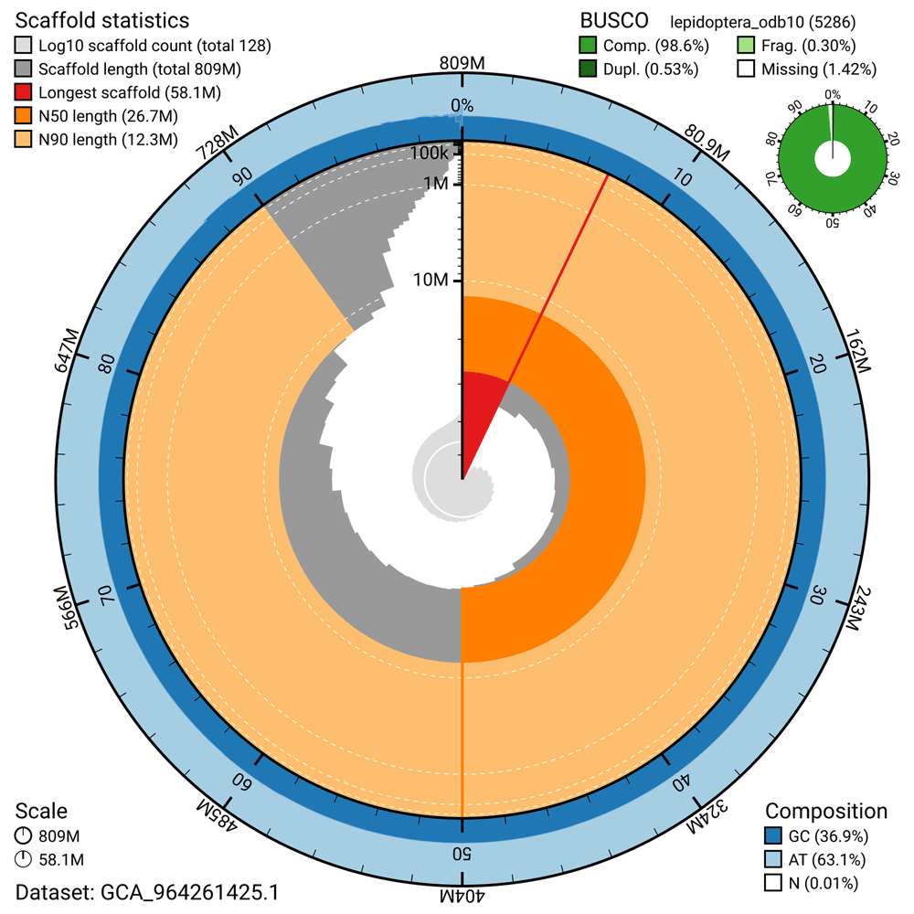 The genome sequence of the Dusky... | Wellcome Open Research