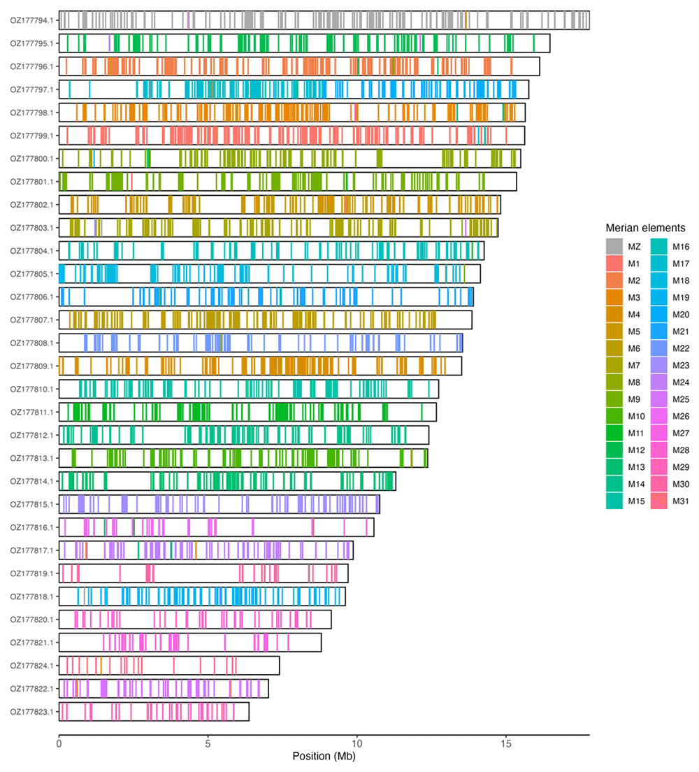 The genome sequence of the Camberwell... | Wellcome Open Research