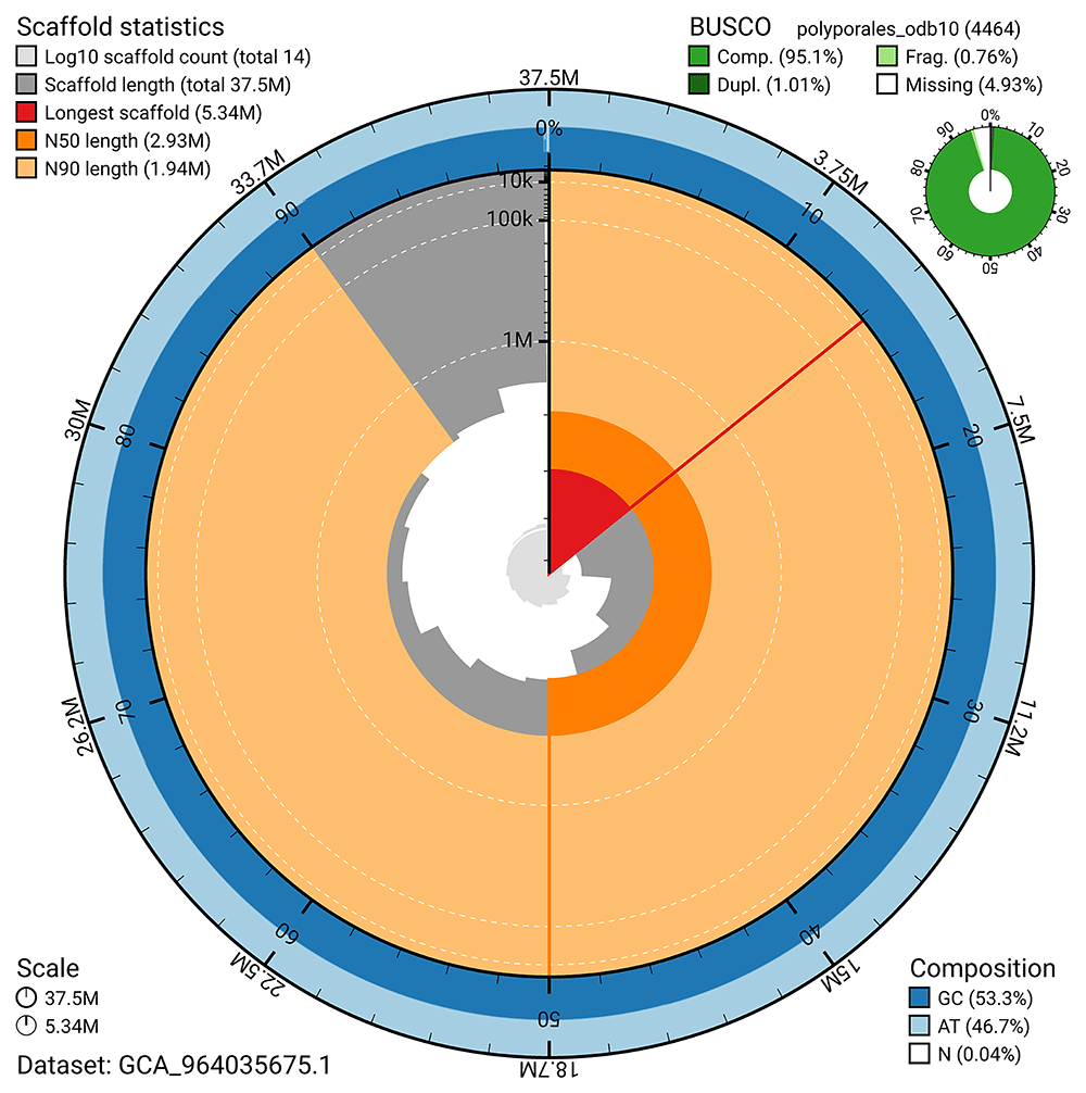 The genome sequence of the Oak Polypore,... | Wellcome Open Research