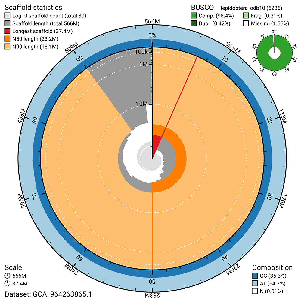 The genome sequence of the Oak Eggar,... | Wellcome Open Research