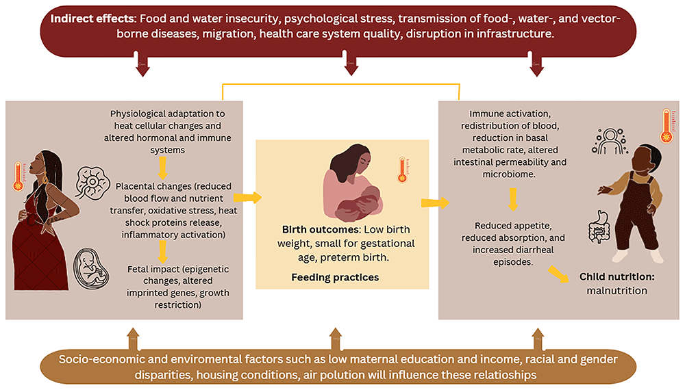 Impact of Heat on Birth Outcomes and Child... | Wellcome Open Research