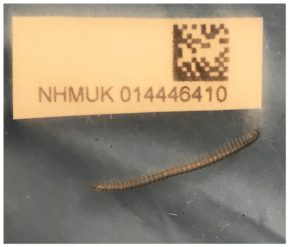The genome sequence of the millipede,... | Wellcome Open Research