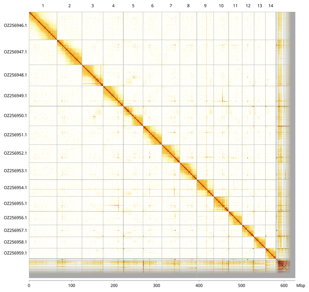 The genome sequence of the millipede,... | Wellcome Open Research