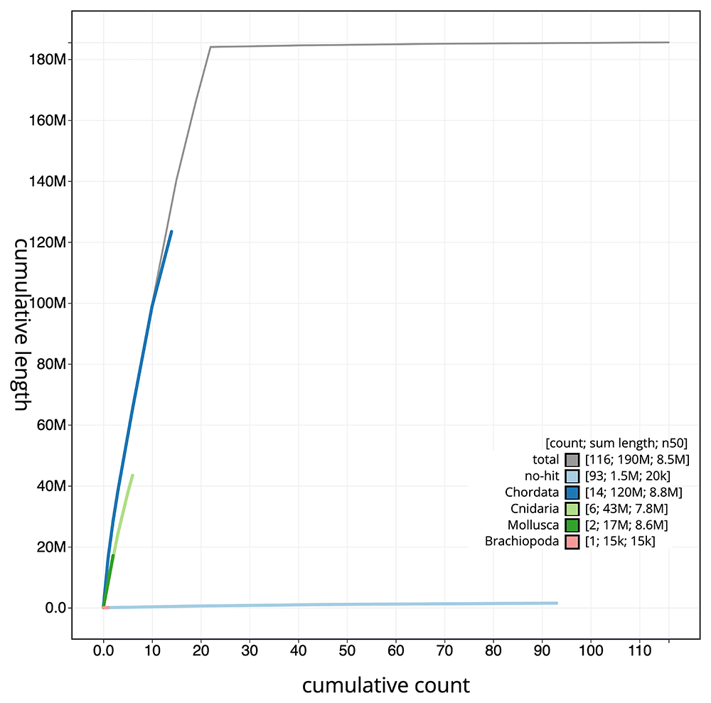 The chromosomal genome sequence of the... | Wellcome Open Research