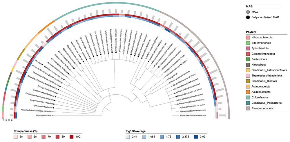 The chromosomal genome sequence of the... | Wellcome Open Research