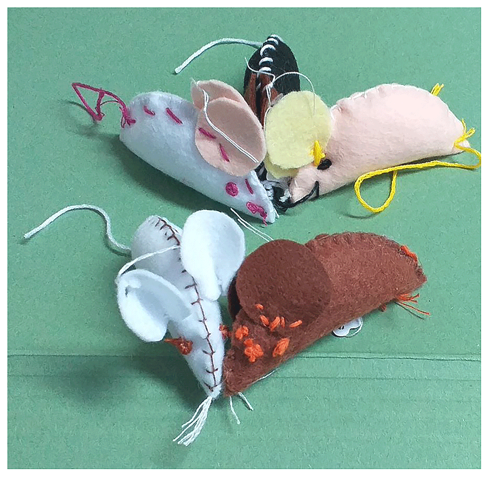 Creative pedagogic methods for self-guided... | Wellcome Open Research