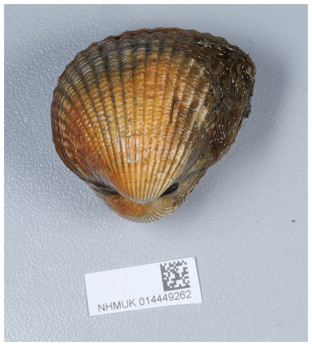 The genome sequence of the Lagoon... | Wellcome Open Research