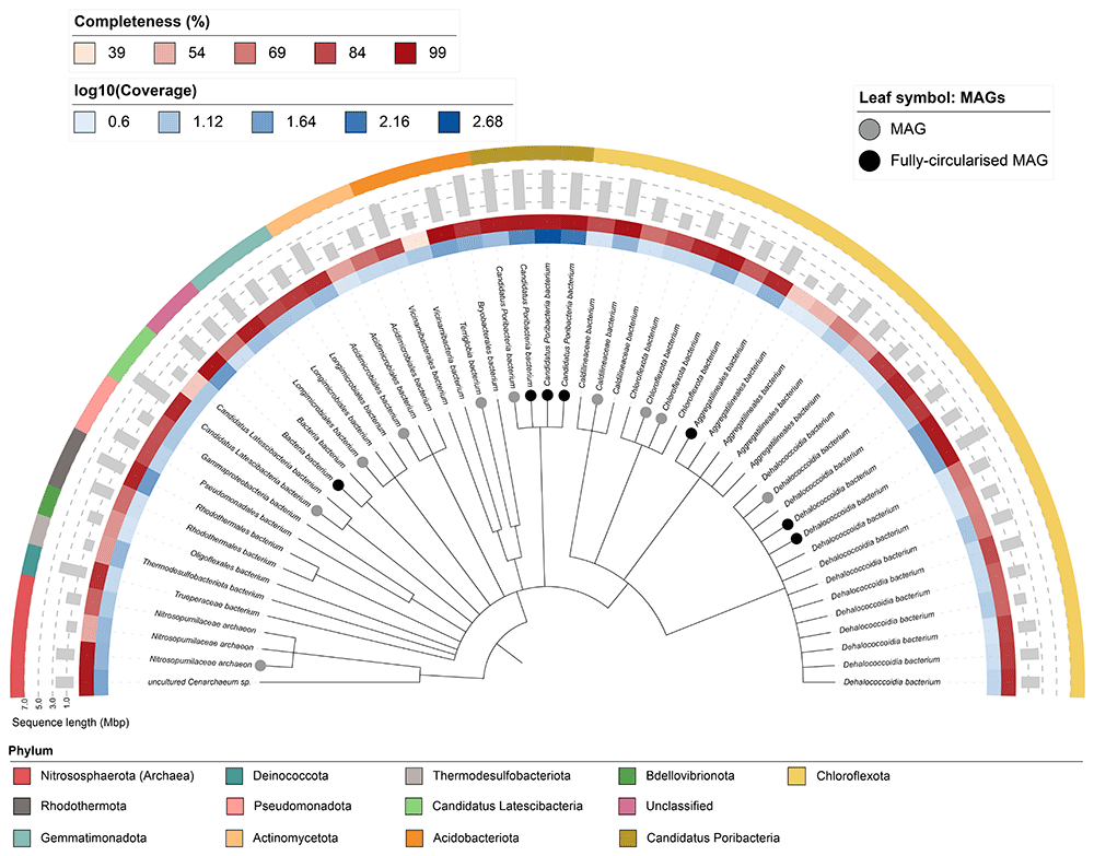 The chromosomal genome sequence of the... | Wellcome Open Research