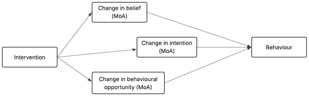 Linking behaviour change techniques to... | Wellcome Open Research