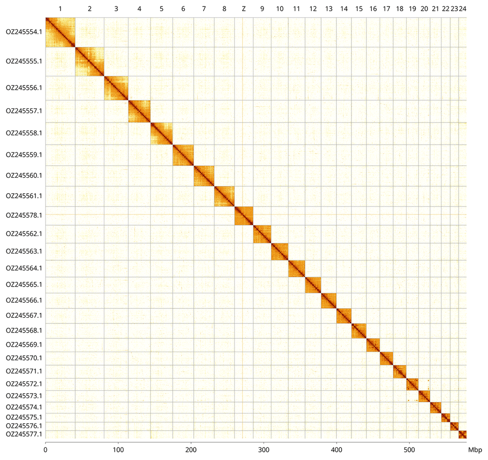 The genome sequence of the Speedwell... | Wellcome Open Research
