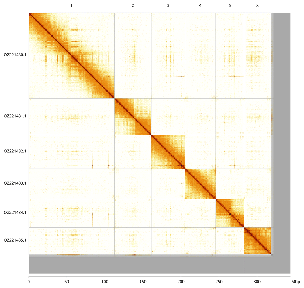 The genome sequence of a soldier beetle,... | Wellcome Open Research
