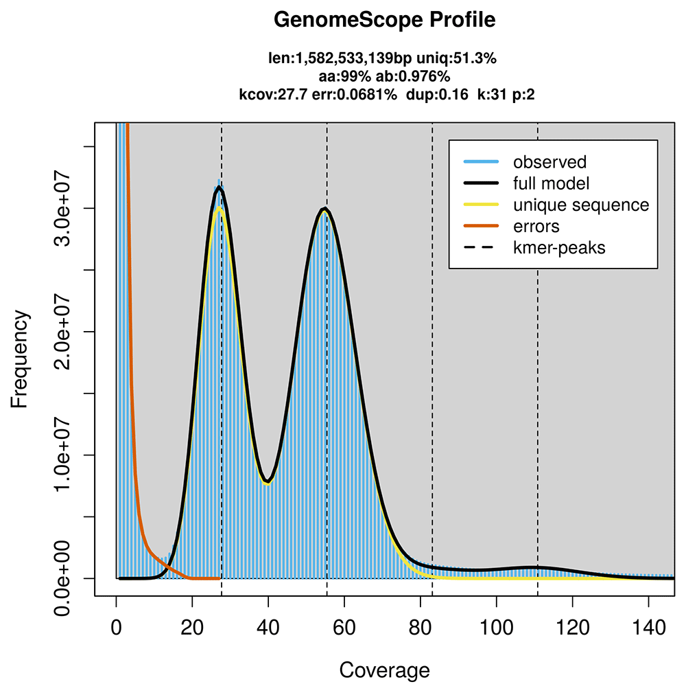 The genome sequence of a chequered beetle,... | Wellcome Open Research