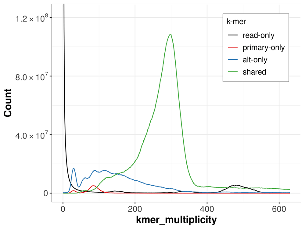 The genome sequence of Stylops aterrimus... | Wellcome Open Research